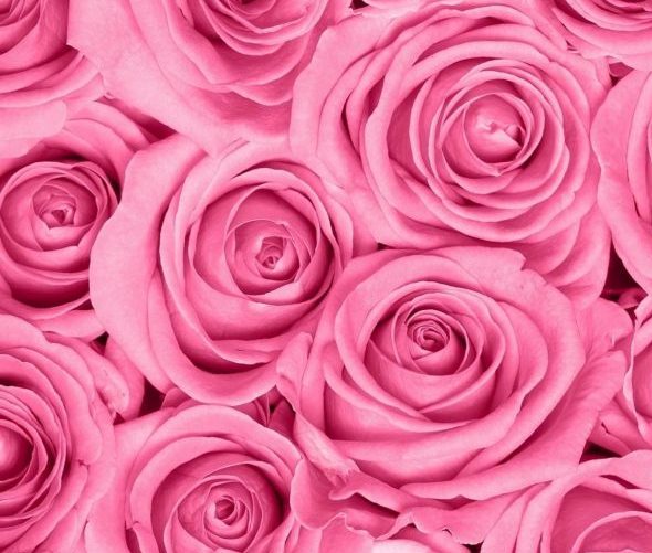 Pink Pigment: for Cosmetics, Personal Care & Skin Care - Koel Colours